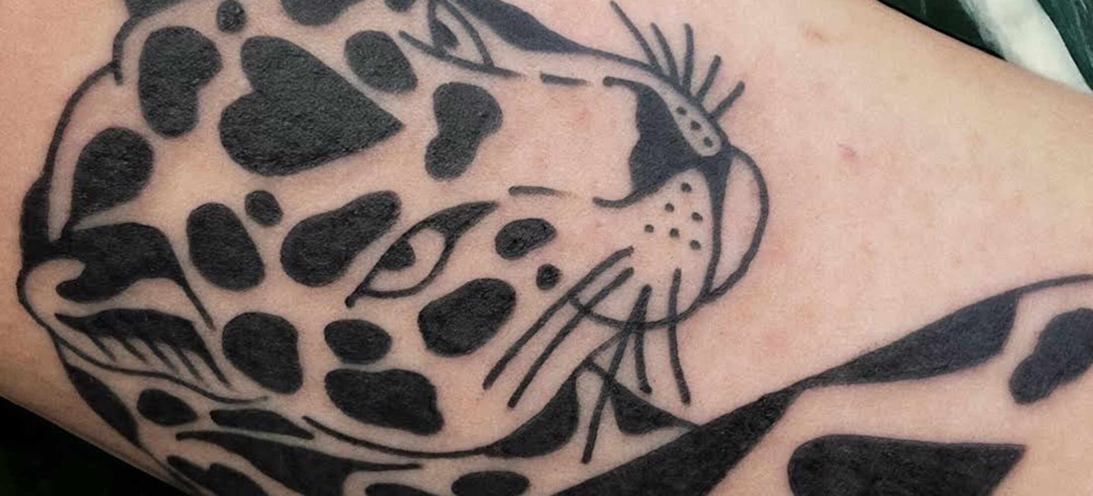 Petra Baburkova | Studio XIII Gallery